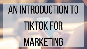 An Introduction To TikTok For Marketing | BMT Micro Blog